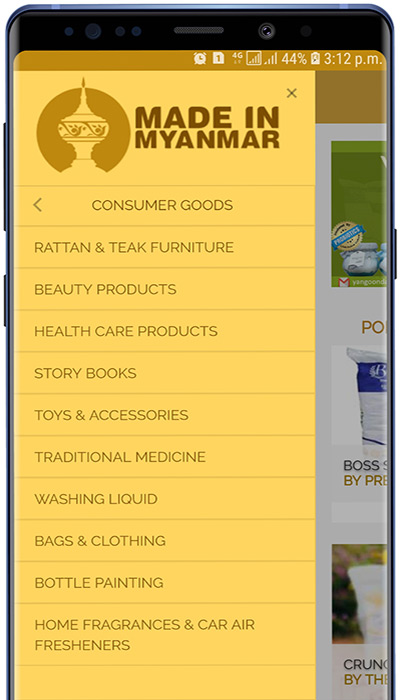Mobile App Development | Myanmar Web Design & Hosting | NetScriper